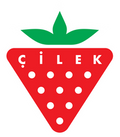 Çilek – Cilek World